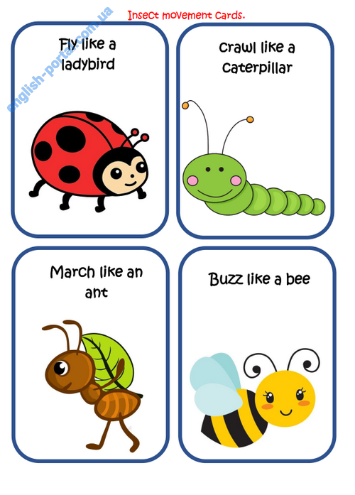 Download Insect Movement Cards | English Task